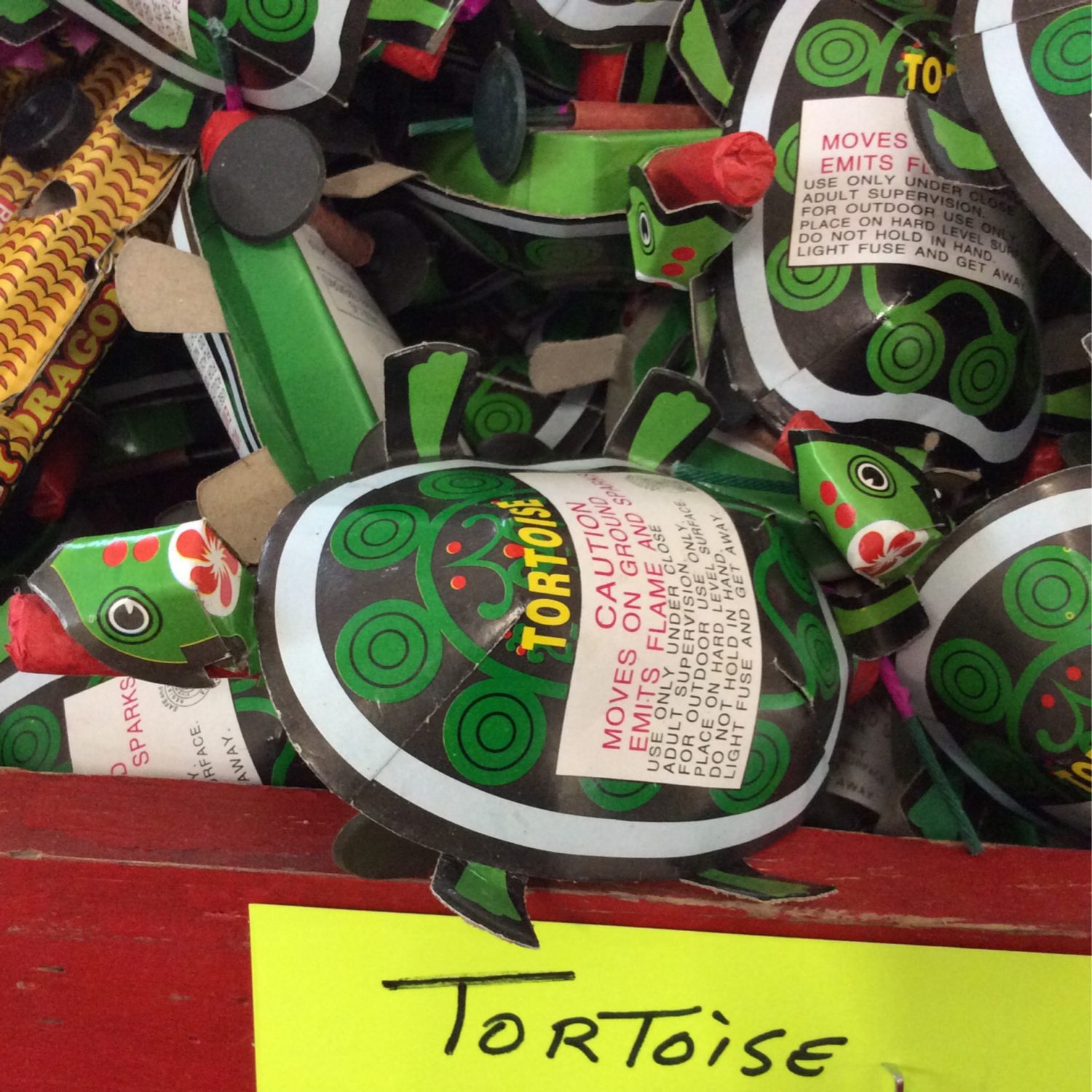 Tortoise - Muret Family Fireworks Farm